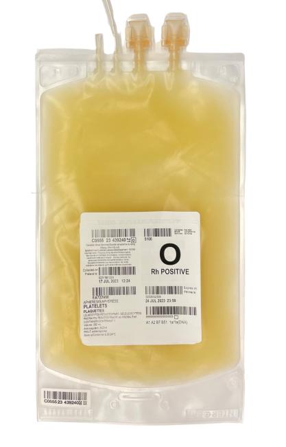 Platelets: Bubbles | Professional Education