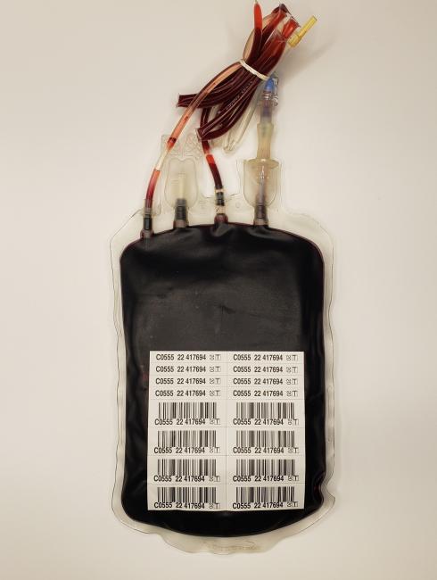 Red blood cells: Bacterial contamination | Professional Education