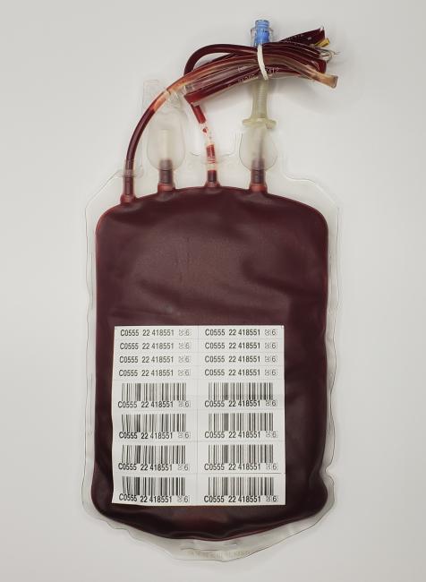 Red blood cells: Bacterial contamination | Professional Education